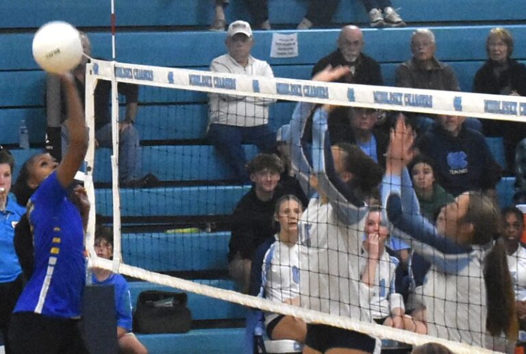 Lady Panthers make regional volleyball debut, fall to top seed ...